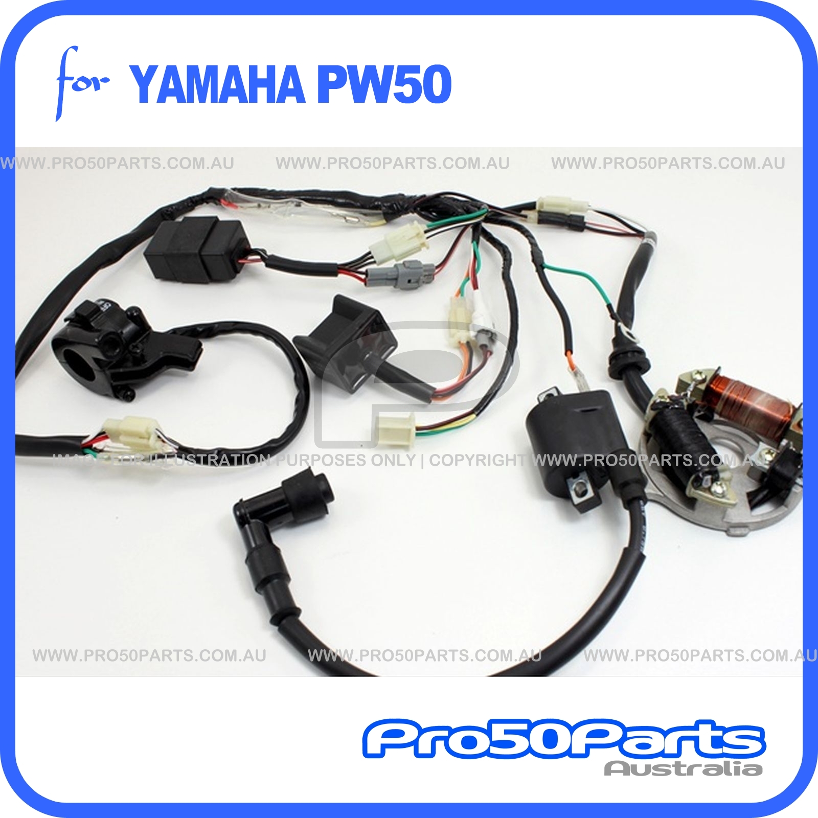 Yamaha PW50 - Wire Harness Assembly, 2006-2019